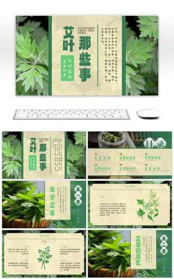 薄荷艾草金银花PPT模板-免费薄荷艾草金银花PPT模板素材下载-千库网
